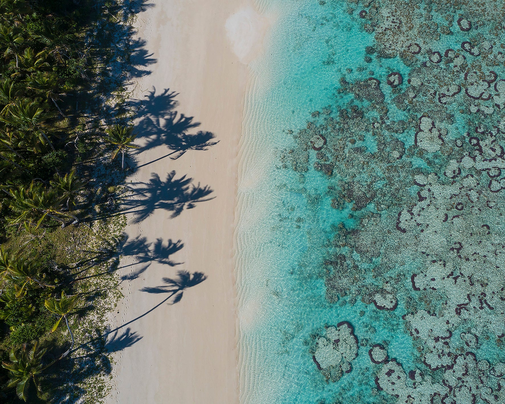 Canvas Printing, HD Metal Panel, Acrylic Facemount Panel, Framed Print ...